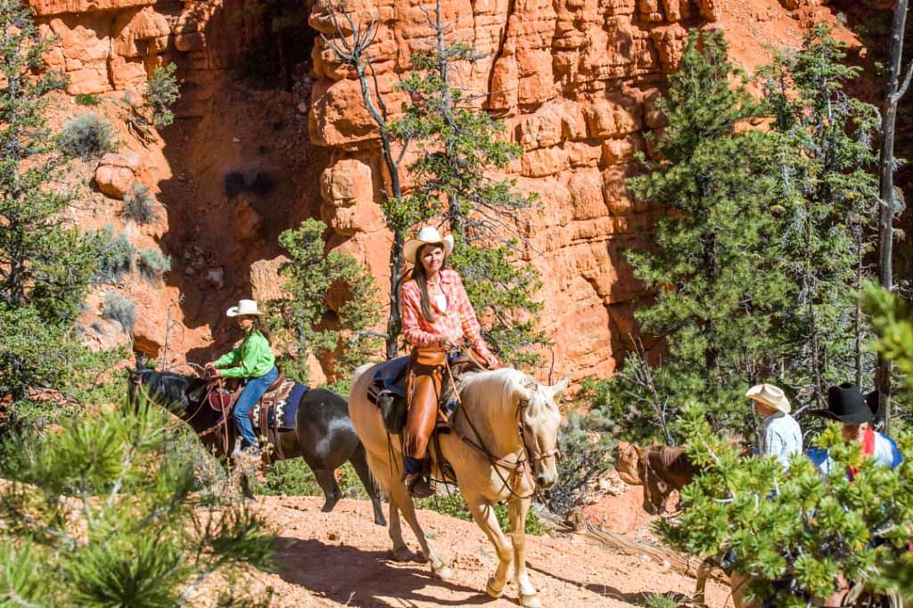 Spring Break at Bryce Canyon National Park - Bryce Canyon Lodging