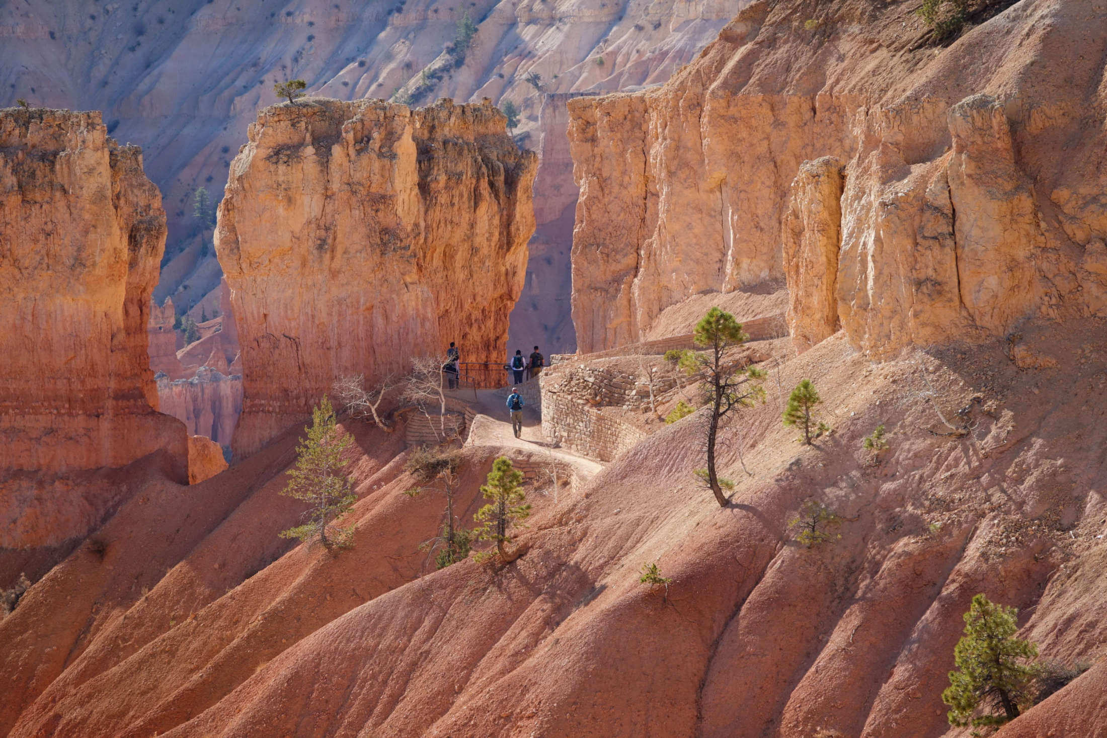 2021 Spring Season Begins at Bryce Canyon National Park - Bryce Canyon ...