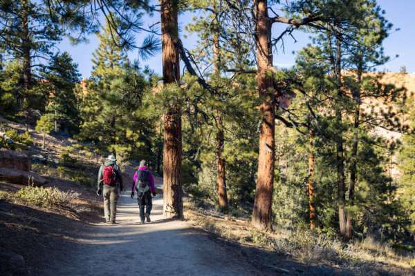Fall Break in Bryce Canyon - Bryce Canyon Lodging