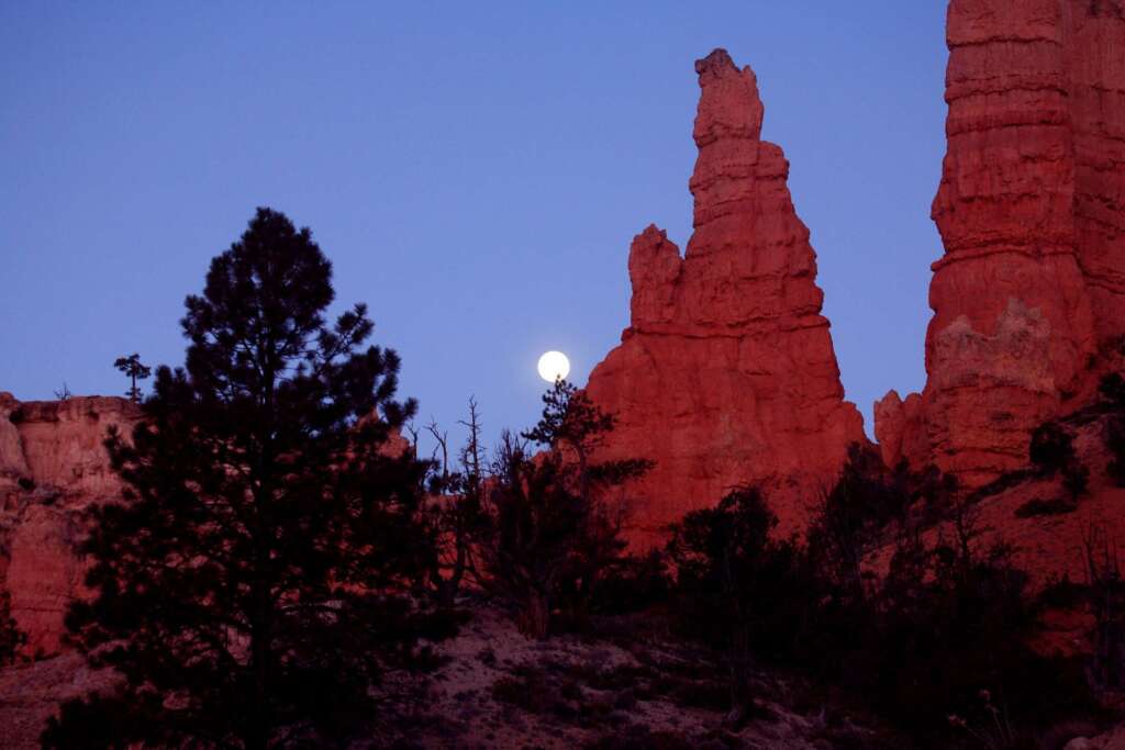 Bryce Canyon Full Moon Hikes Moving to Recreation.gov - Bryce Canyon ...
